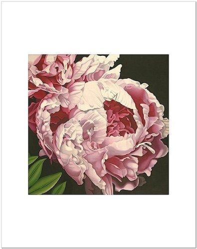 SMART ART - 'Peony II' by Elizabeth Hellman - Fine Art Print 11x14 ...