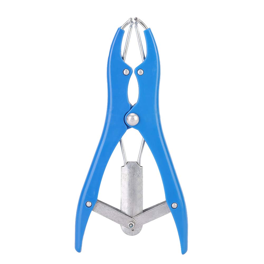 Buy iFCOW Castration Plier, Farm Animal Pig Cattle Sheep Tail Docking ...