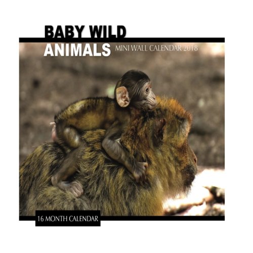 Baby Wild Animals Mini Wall Calendar 2018: 16 Month Calendar: Jenson ...