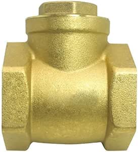 Amazon.com: DAN SPEED NPT brass horizontal check valve, water meter ...