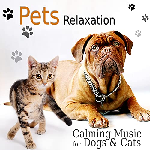 Amazon.com: Pets Relaxation – Calming Music for Dogs & Cats, Gentle and ...