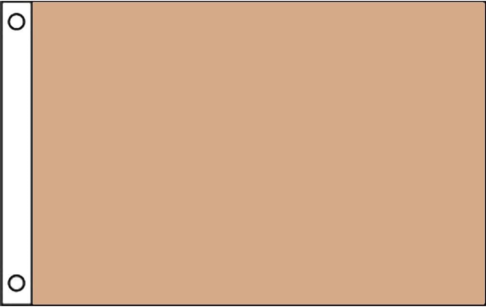 Amazon.com : Light Tan Color Flag (4 ft x 6 ft) Nylon : Outdoor Flags ...