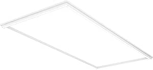 Lithonia Lighting Frame 2x4 LED Lay-in Ceiling Light, 2 ft. x 4 ft ...