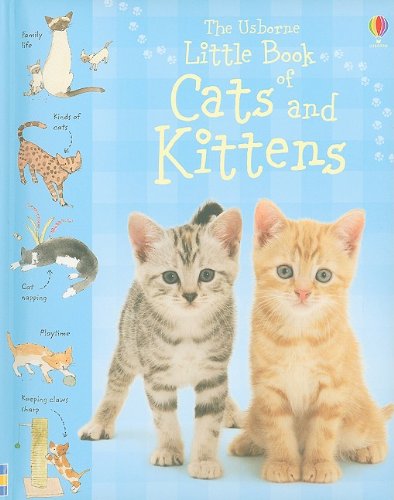 The Usborne Little Book of Cats and Kittens : Kahn, Sarah, Lambert ...