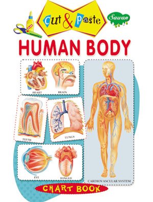 Amazon.in: Buy Human Body (Chart Book) Book Online at Low Prices in ...