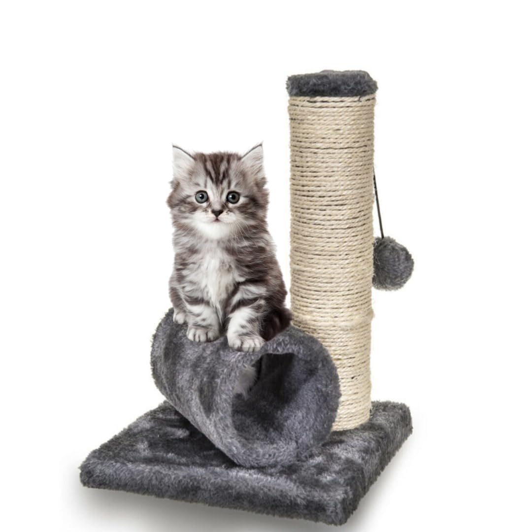 Small Kitten Cat Scratching Post, Cat Tree with Mouse Trap and Hanging ...