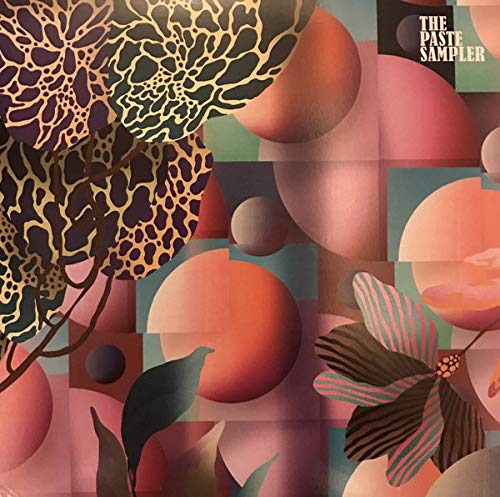 Amazon.com: Paste Magazine: The Paste Sampler - Spring 2017 (Colored ...