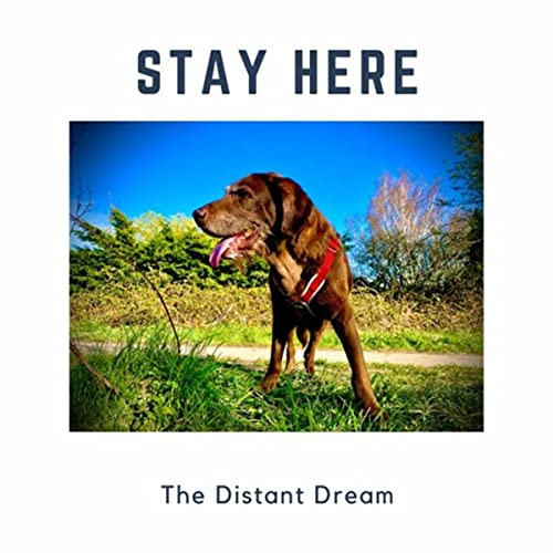 Stay Here de The Distant Dream en Amazon Music Unlimited