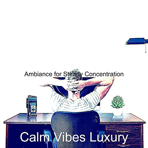 Ambiance for Steady Concentration de Calm Vibes Luxury en Amazon Music ...