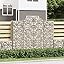 Hoopleep Lot de 6 paniers gabions avec arche surélevée, 200 x 50 x 160/ ...