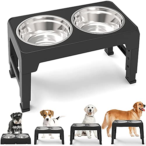 10 Best Dog Food Risers of the Year - A Complete Buying Guide - Furry Folly