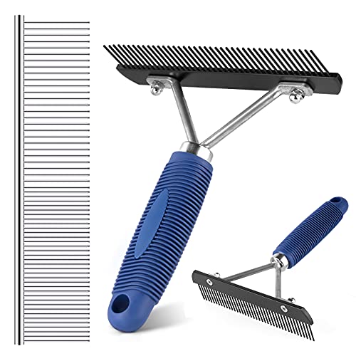 Plush Coat German Shepherd: Plush Coat vs Long Coat vs Medium Coat