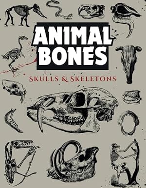 Amazon.com: Muscles & Bones: The Anatomy Sketchbook: 240+ Anatomy ...