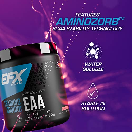 Snapklik.com : EFX Sports Training Ground EAA Essential Amino Acids Supplement Energy & Protein ...