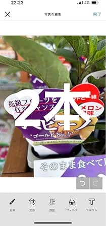 Amazon.co.jp: Peppino Seedlings, Gorot No 1, 2 Count : Toys & Games