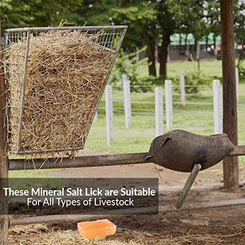 The 9 Best Salt Licks For Humans of 2023 [Verified] - Cherry Picks