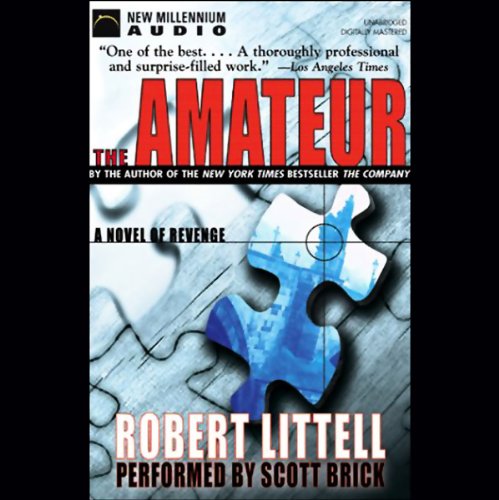 Amazon.com: The Amateur: A Novel of Revenge (Audible Audio Edition ...