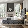 Amazon.com: Better Home Products Elizabeth 91 x 101 Velvet Round ...