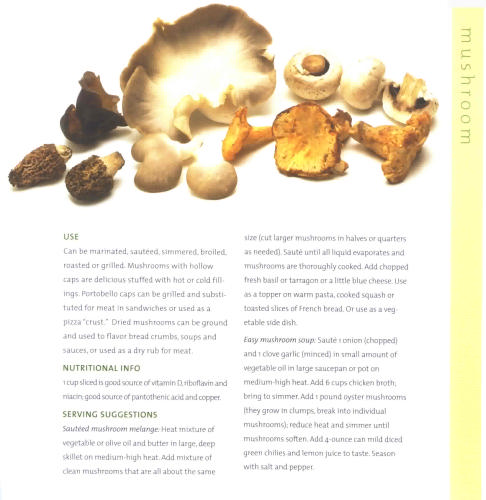 Melissa's Great Book of Produce: Everything You Need to Know About ...