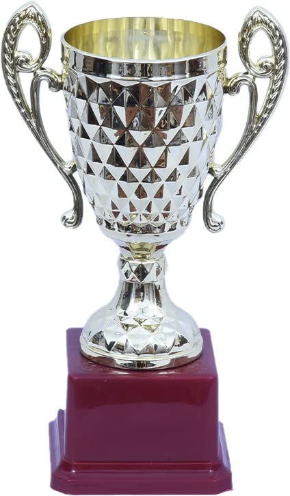 Sigaram 8 Inches Trophy for Appreciation Gift,Sport, Academy, Awards ...