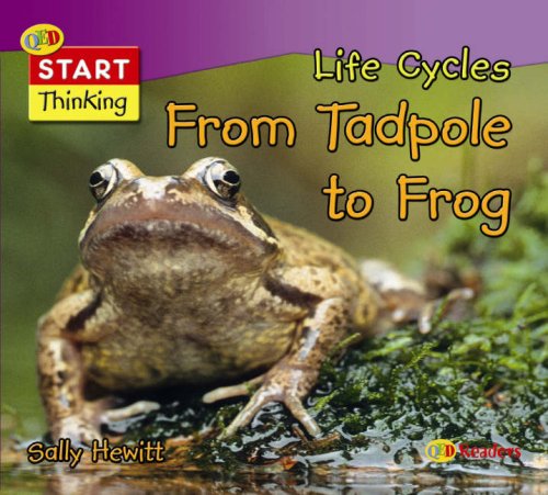 Buy Life Cycles: From Tadpole to Frog (QED Readers: Start Thinking S ...