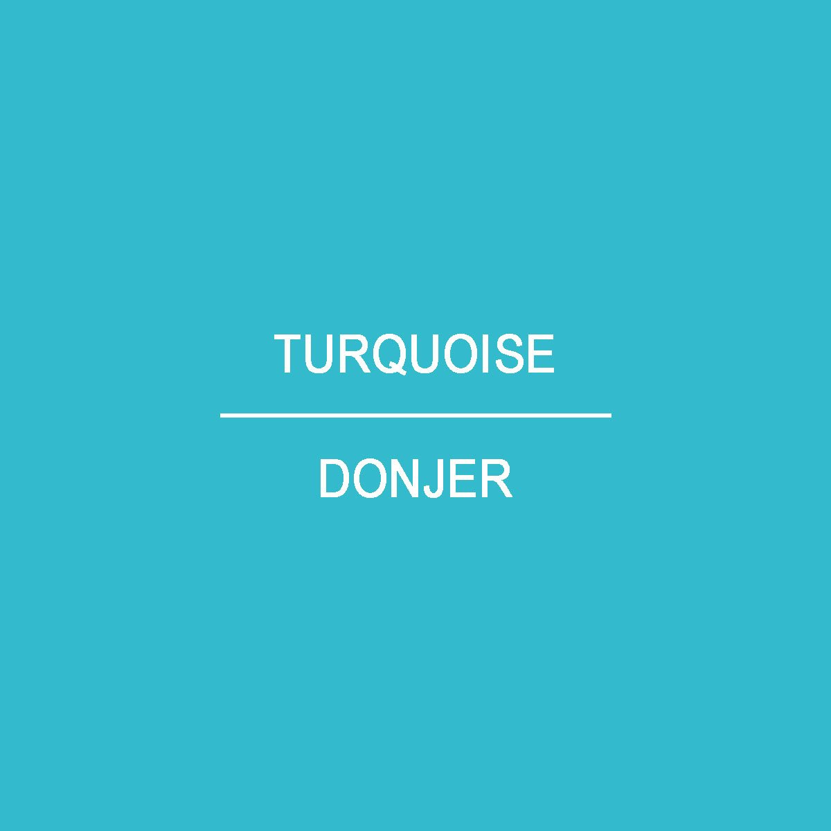 Snapklik.com : Donjer Suede-Tex Flocking Fiber, 3 Oz Bag, Turquoise