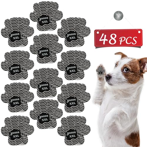 Paw Grips for Dogs – The 15 best products compared - Wild Explained