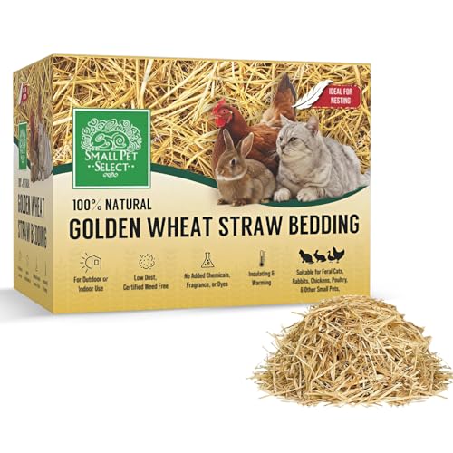 Amazon Best Sellers: Best Small Animal Bedding & Litter