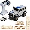 Amazon.com: LDARC 1:43 Scale Mini RC Crawler RTR RC Rock Truck 4x4 2 ...