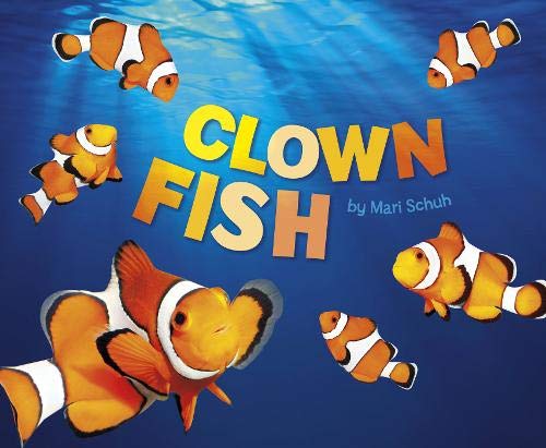 Clown Fish (Sea Life): Amazon.co.uk: Schuh, Mari, Saunders-Smith PhD ...