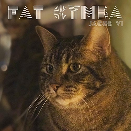 Amazon.com: Fat Cymba : Jacob Vi: Digital Music