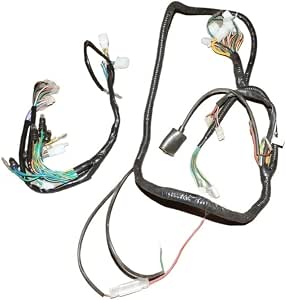 Amazon.com: Motorcycle Wire Harness Wiring Assembly for Gy6 150cc ...