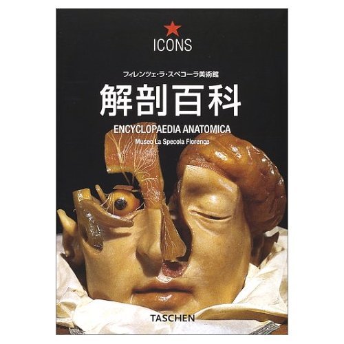 Amazon.com: Anatomy Encyclopedia (Taschen Icon Series) (2002) ISBN ...