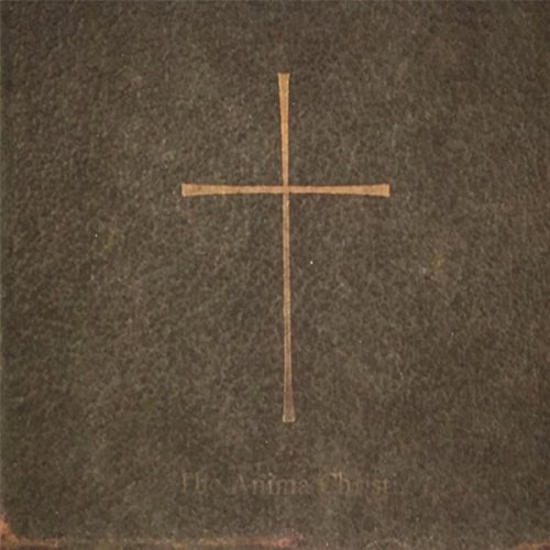 Amazon.com: The Anima Christi : Trinity Music & Marty Reardon: Digital ...