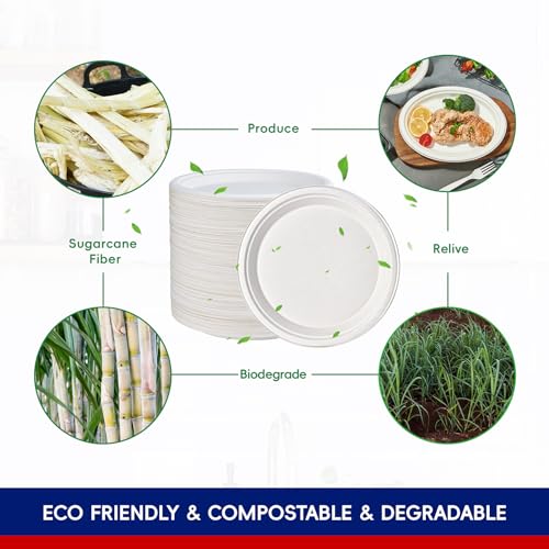 Snapklik.com : 100% Compostable Heavy Duty Plates 10 Inch 125 Pack Eco ...