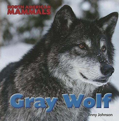 Gray Wolf (North American Mammals): Johnson, Jinny: 9781770921733 ...