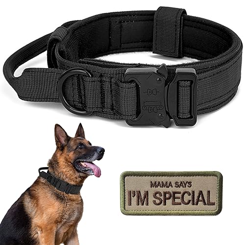 K9 Collars – The 15 best products compared - Wild Explained