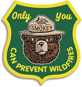 Amazon.com: Green Shield Shaped Smokey Bear Only You Can Prevent ...