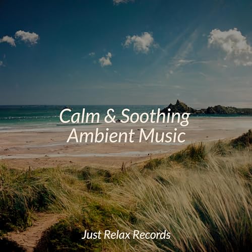 Calm & Soothing Ambient Music von Lounge relax bei Amazon Music - Amazon.de