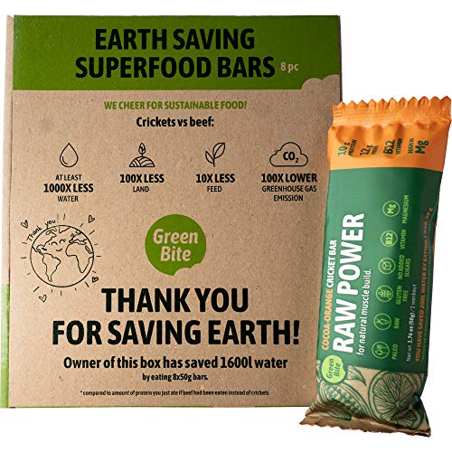 Cricket and Other Insect Protein Bars