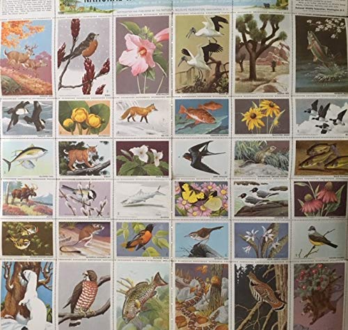 National Wildlife Conservation Stamps ( 15" x 15") Block of 36 Stamps ...