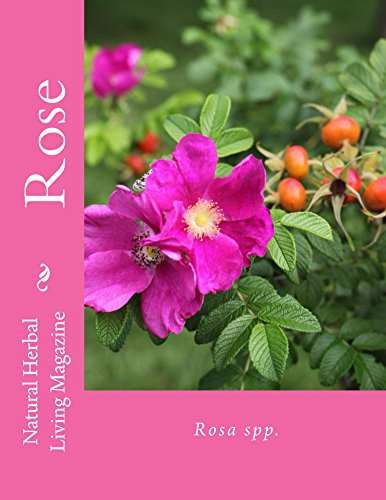 『Rose - Rosa spp.: Rosa spp. (Natural Herbal Living Magazine Book 4 ...