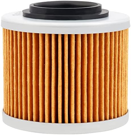 Amazon.com: Road Passion High Performance Oil Filter Replacement for ...