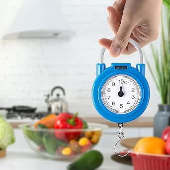 EXPORTTANZA Hanging Scale 10kg Weighing Scales Food Scale Parcels ...