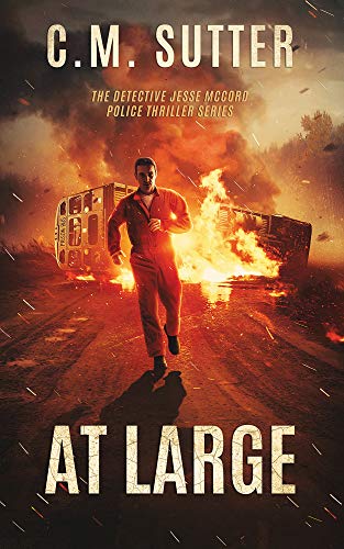 At Large: A Captivating Revenge Thriller (The Detective Jesse McCord ...