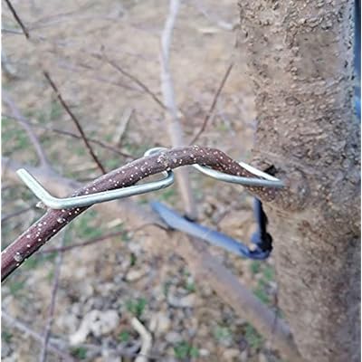 Buy LEILINFruit Tree Branch Puller Tying Machine Farm Tools New Plum ...