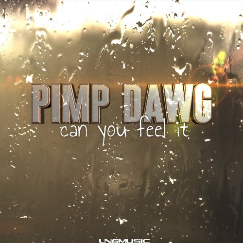 Amazon.com: Can You Feel It : Pimp Dawg: Digital Music