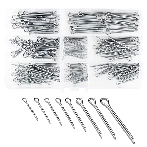 Amazon.de Neuerscheinungen: Die beliebtesten Neuheiten in Splinte