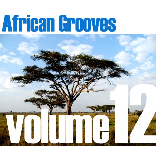 Amazon Music - ヴァリアス・アーティストのAfrican Grooves Vol.12 - Amazon.co.jp