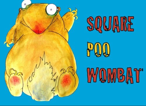 Square Poo Wombat: Smith, Laura Joy, Smith, Laura Joy: 9781503026957 ...